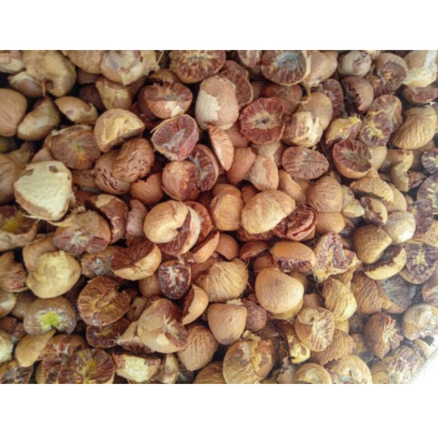 Jual pinang kering 1kg | Shopee Indonesia