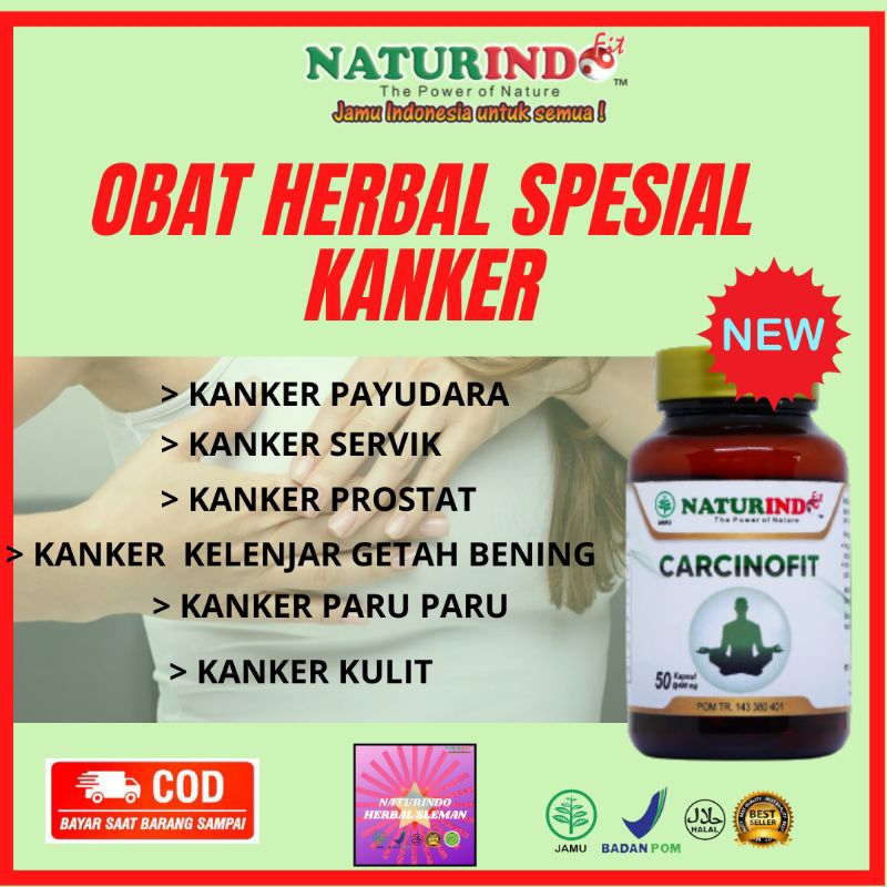 Jual Obat kanker herbal tumor jinak ganas tumor otak benjolan kanker ...