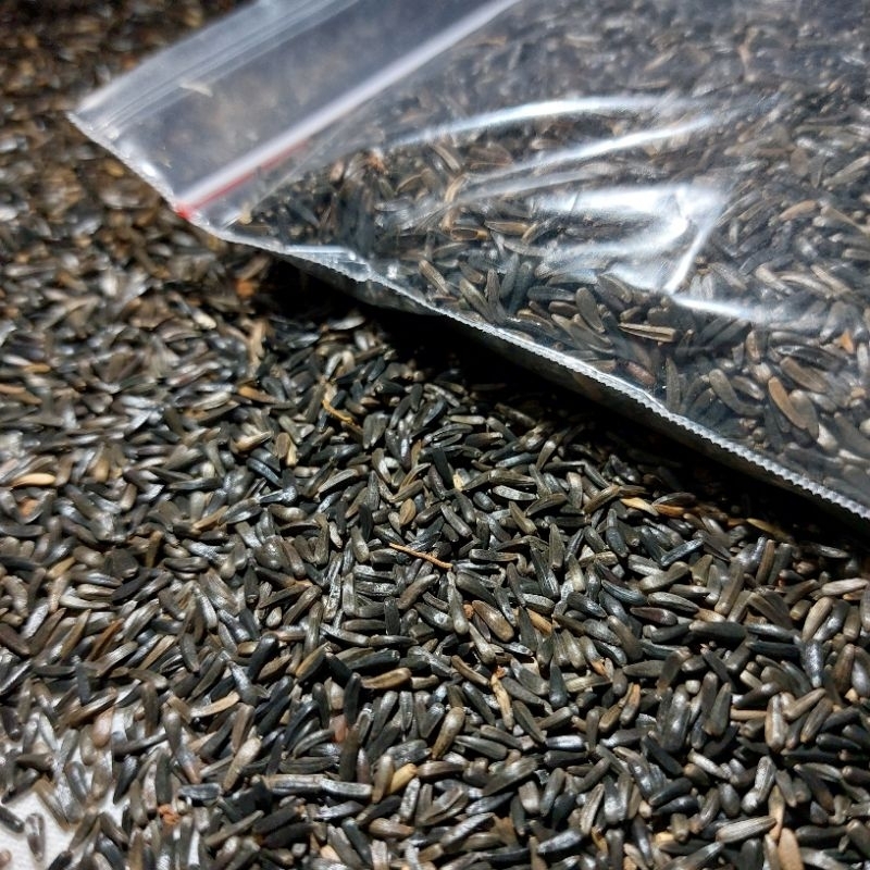 Jual NIGER SEED / BIJI NIGER SEED HITAM PAKAN CAMPURAN UNTUK BURUNG ...