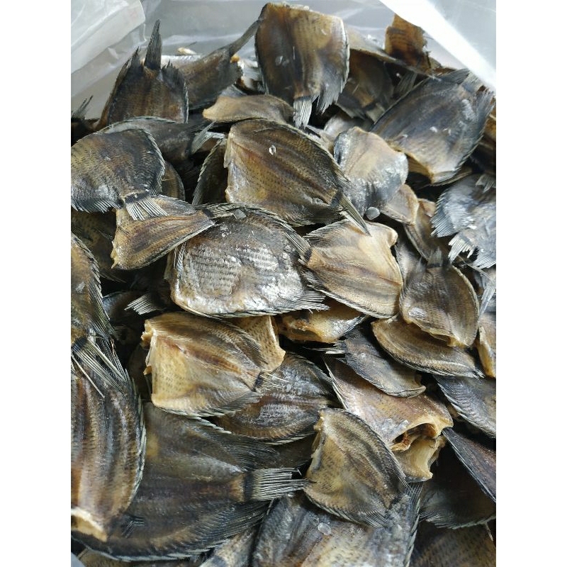 Jual IKAN SAPEK TAWAR / MACO SAPEK 250 Gram | Shopee Indonesia