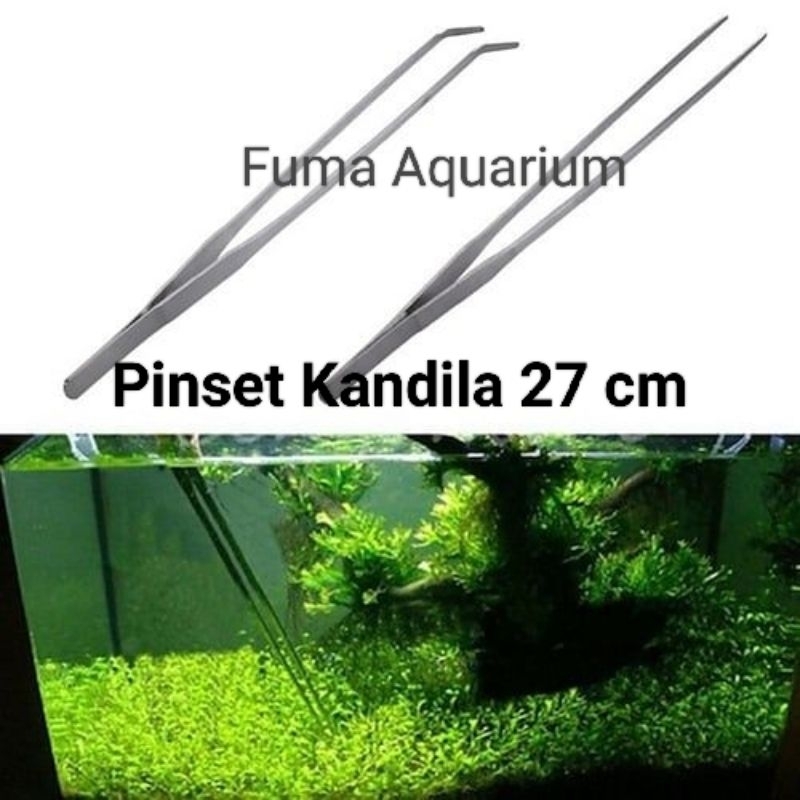 Jual Pinset KANDILA Pinset Lurus Panjang 27cm Akuarium Aquascape Tools ...