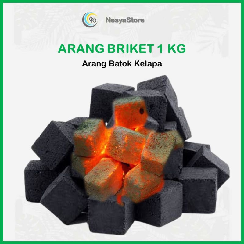 Jual Arang Briket Areng Batok Kelapa 1kg BBQ Awet Tahan Lama Berkualitas - Briket Arang | Shopee ...