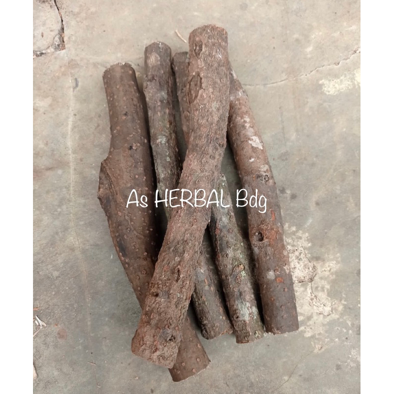 Jual Batang kayu lemo batang kilemo rempah nusantara perbatang-az ...