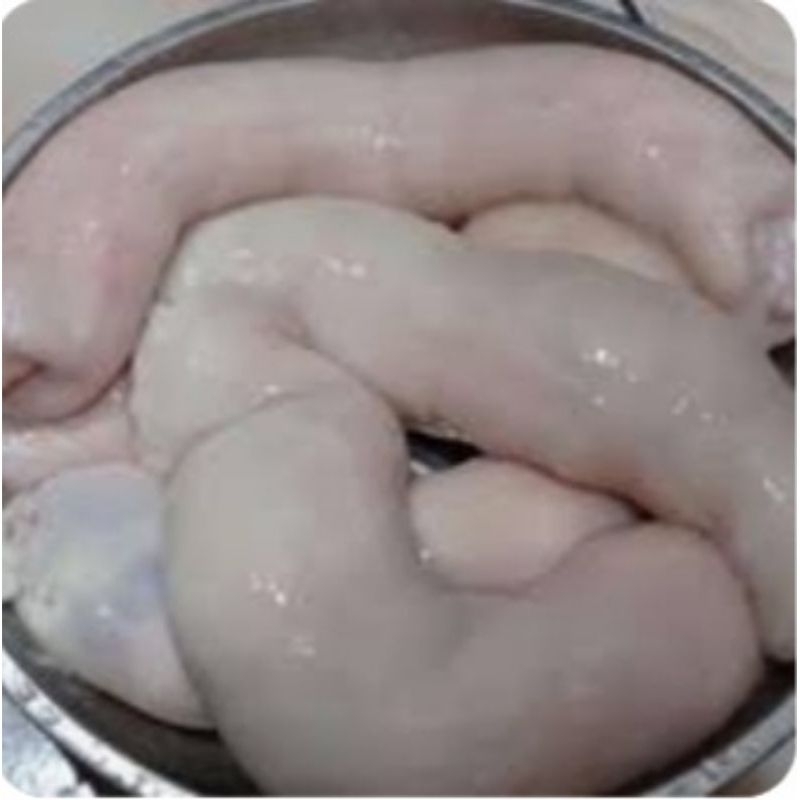 Jual Daechang Usus sapi Besar Makanan Korea 1kg | Shopee Indonesia