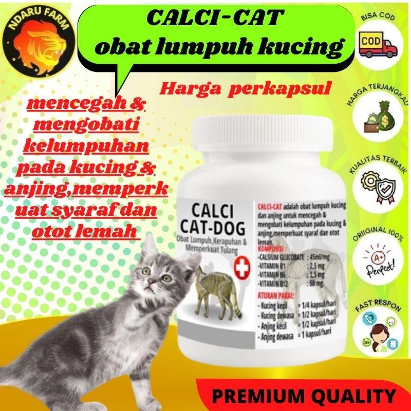 Jual Obat Lumpuh Kucing&Anjing untuk mencegah & mengobati kelumpuhan ...