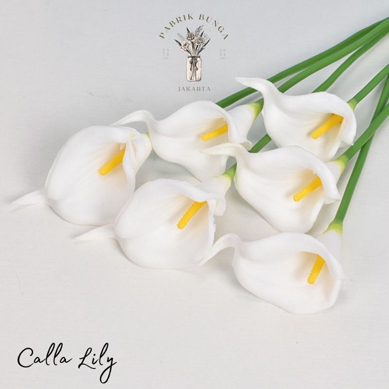 Jual COD (1 Tangkai) Bunga Calla Lily / Artificial Premium Import Calla ...