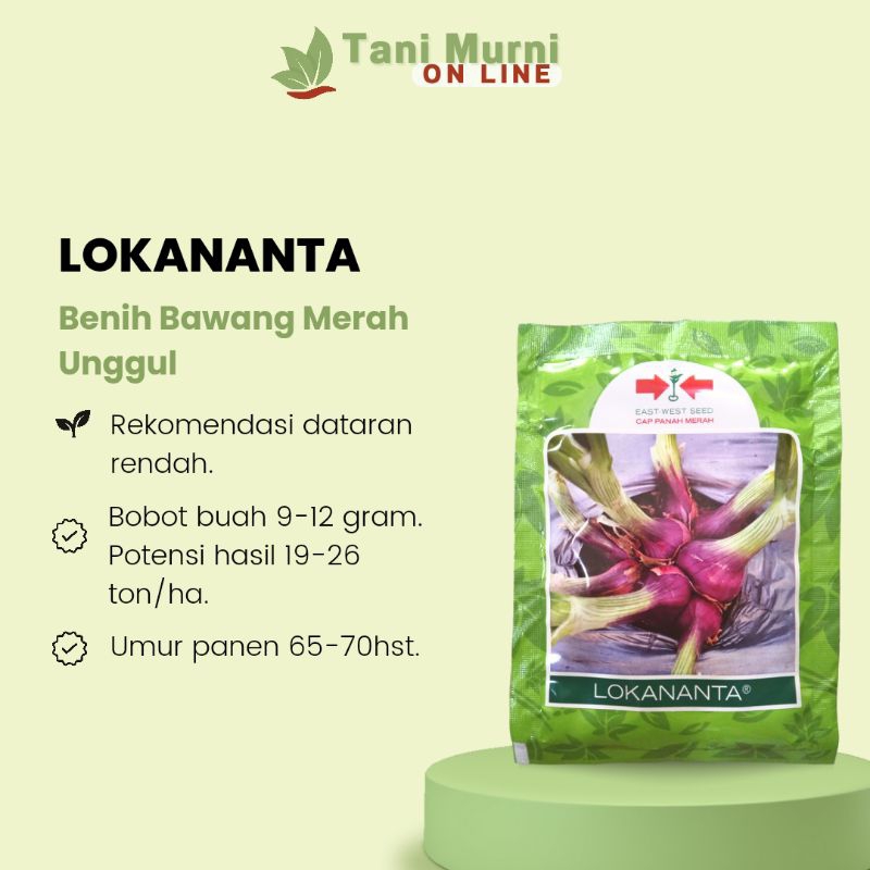 Jual Benih Bawang Merah Lokananta Cap Panah Merah 10 gr | Shopee Indonesia