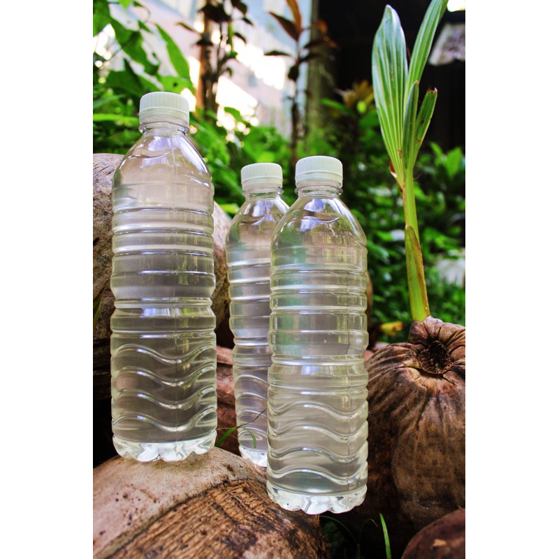 Jual MINYAK TANDUSAN BALI| COCONUT OIL| MINYAK KELAPA MURNI | Shopee ...