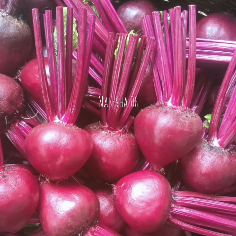 Jual Buah Bit/Beet Root Kualitas Super Fresh 1Kg | Shopee Indonesia