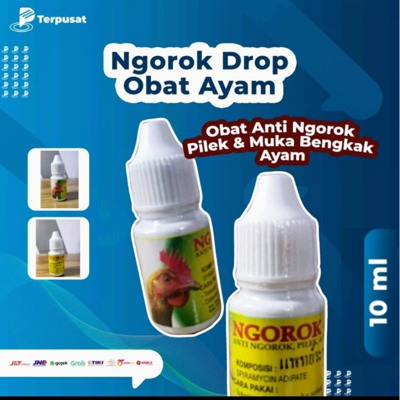 Jual Ngorok Drop 10ml Obat Ayam Anti Ngorok Pilek dan Muka Bengkak Ayam ...