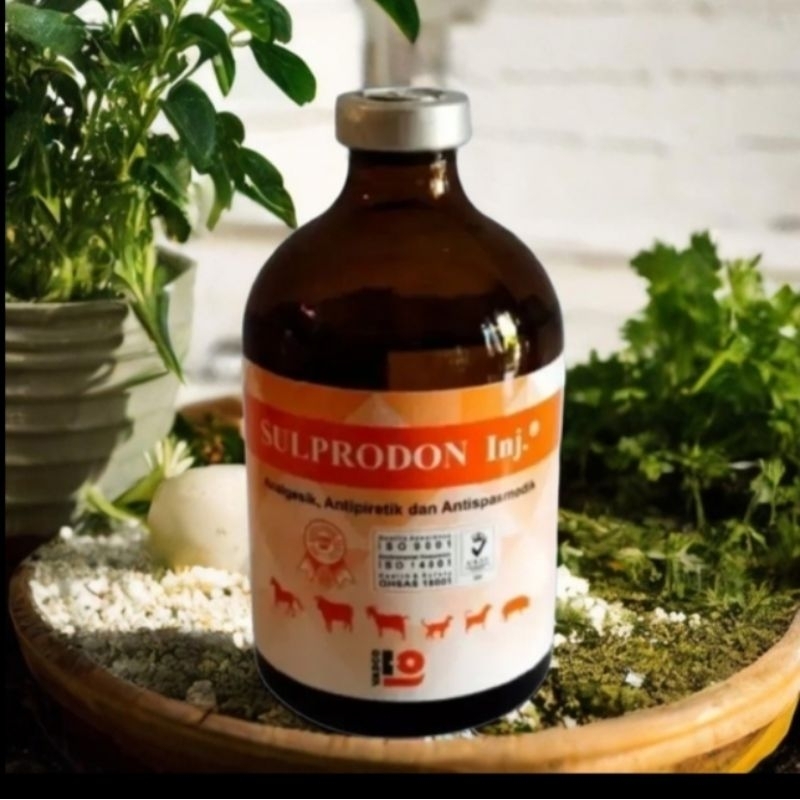 Jual SULPRODON INJ. 100 ML - MIRIP SEPERTI SULPIDON SANBE MIRIP ANALDON ...