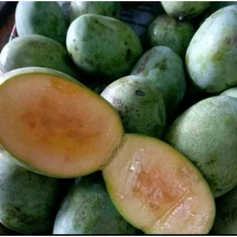 Jual Mangga Manalagi madu | Shopee Indonesia