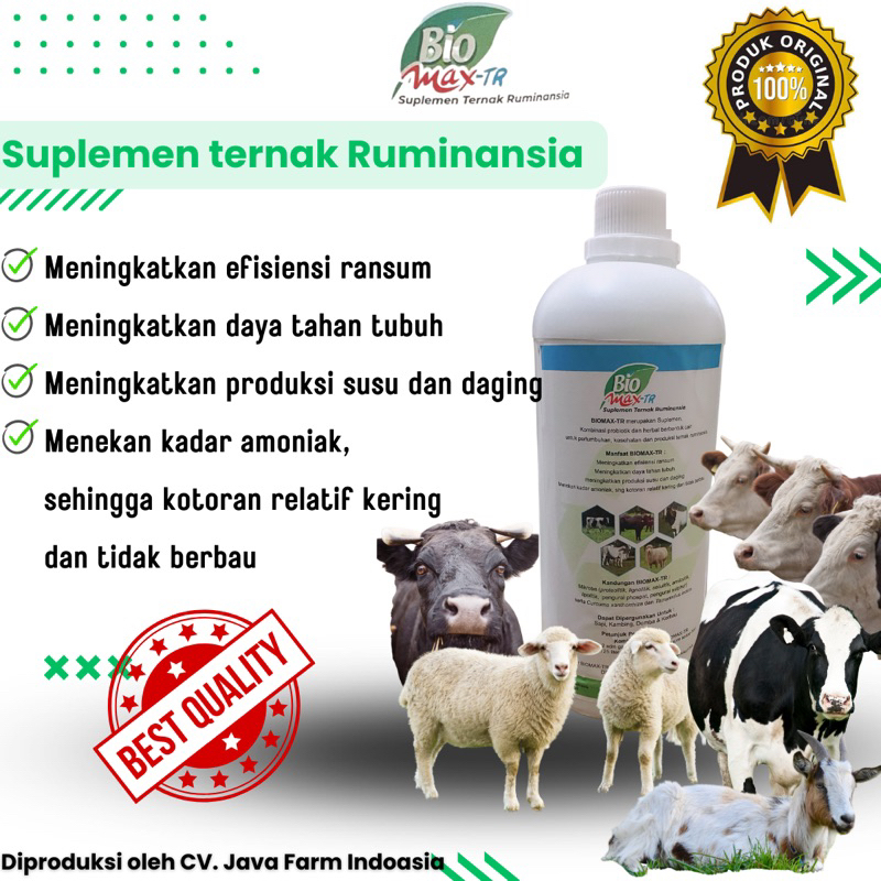 Jual Suplemen ternak ruminansia ( sapi,kerbau,kambing,domba ) | Shopee ...