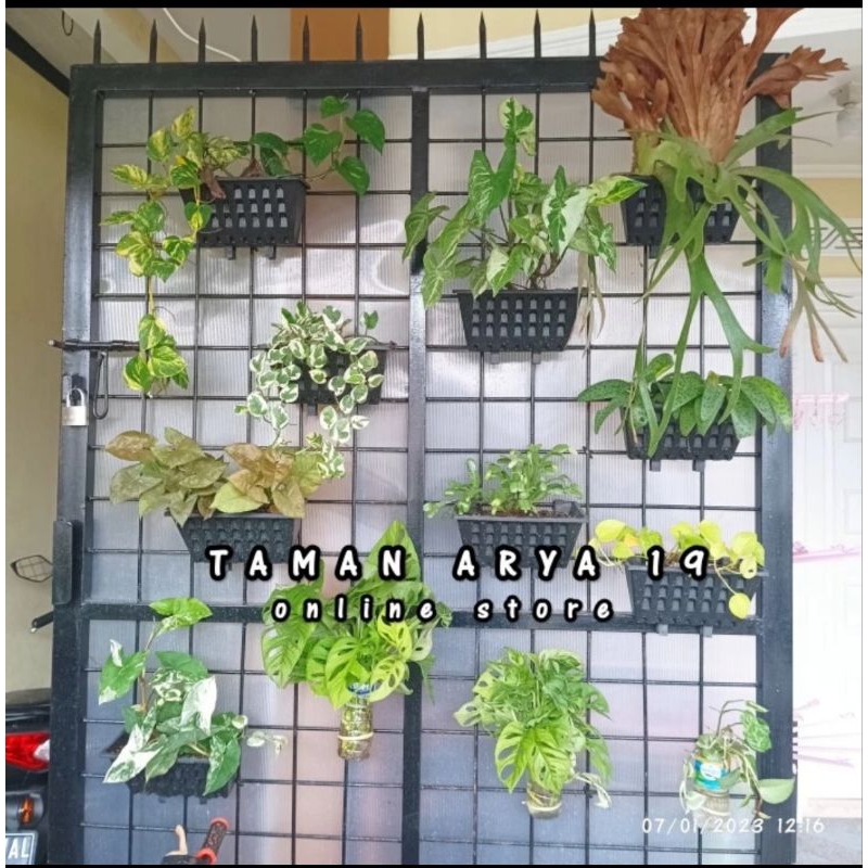 Jual POT DINDING POT TEMPEL VERTICAL GARDEN | Shopee Indonesia