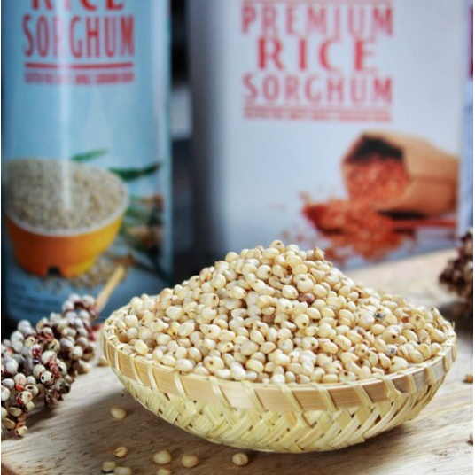 Jual Sorghum Seeds - Biji Beras Sorgum Sourghum khas Lombok | Shopee ...