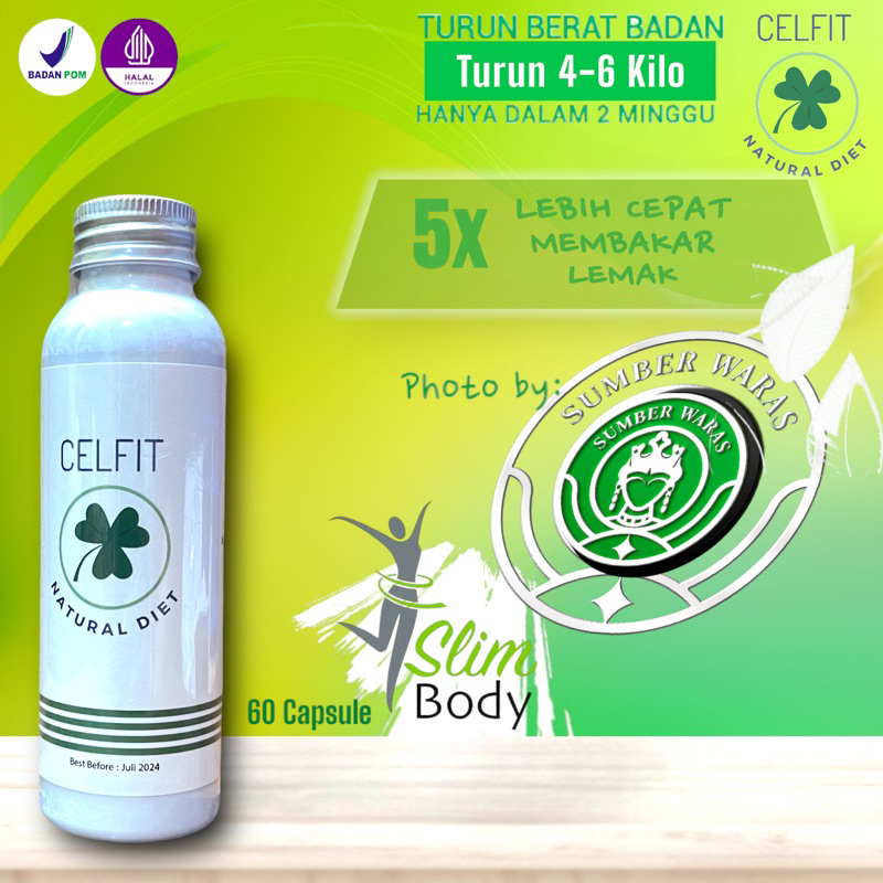 Jual OBAT DIET PELANGSING CELFIT NATURAL BPOM 60 KAPSUL - Pasti Berat ...