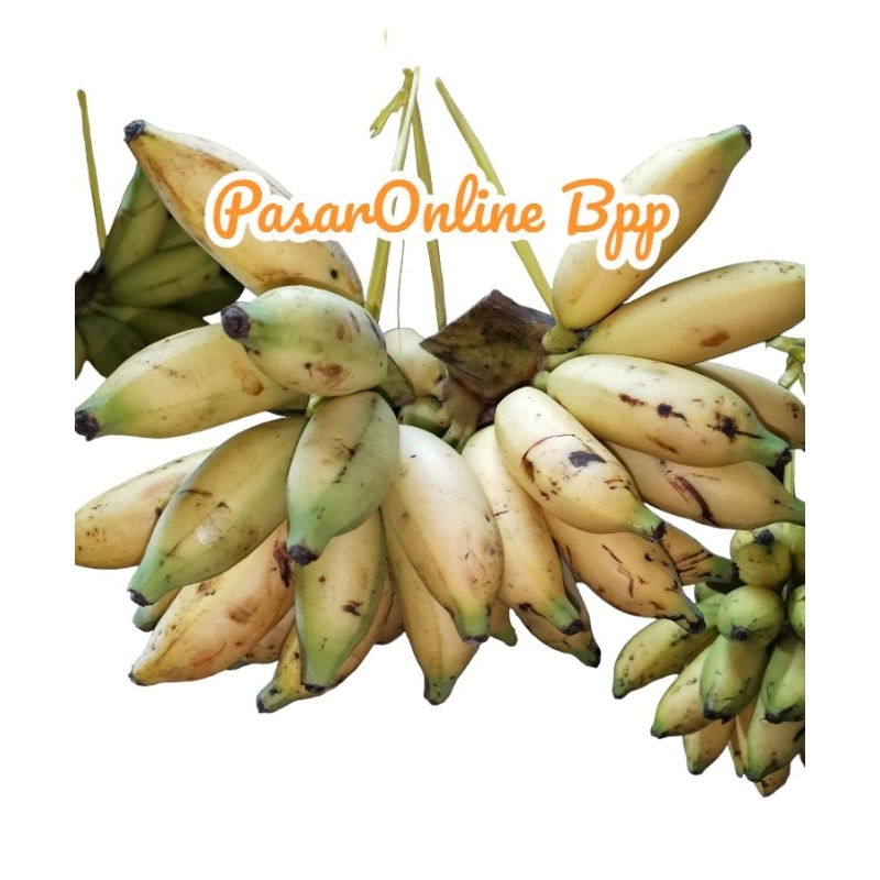Jual PISANG MULI | Shopee Indonesia
