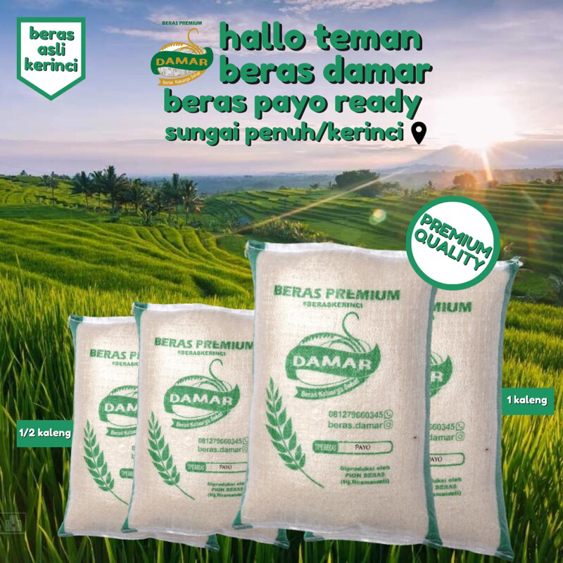 Jual Beras Payo Premium Asli Kerinci 7,5 Kg atau 1/2 kaleng | Shopee ...