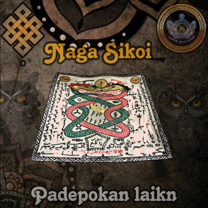 Jual naga sikoi | Shopee Indonesia