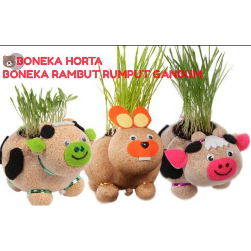 Jual mainan anak anak boneka horta Berambut rumput asli | Shopee Indonesia