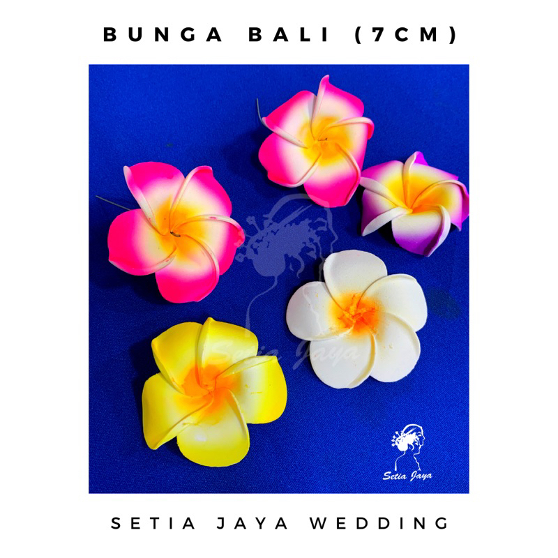 Jual Aksesories Bali Tarian/ Adat Bali Tusuk Bamboo/ Bunga Kamboja ...