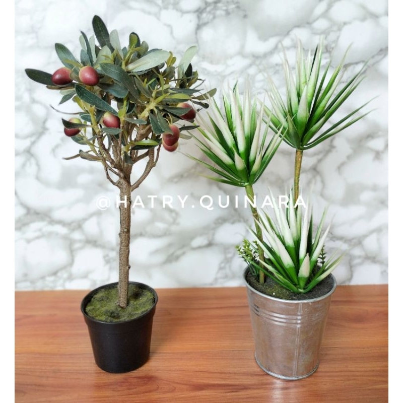 Jual pohon zaitun artifisial mini, olive tree artificial pohon mini ...