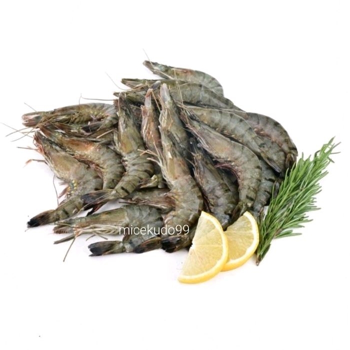 Jual UDANG SEGAR 500GR FRESH PRAWN | Shopee Indonesia