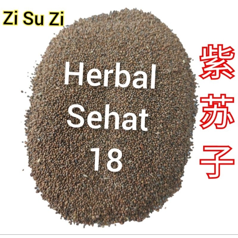 Jual 600 gr - Zi Su Zi / Perilla Seed - Fructus Perillae Frutescentis ...