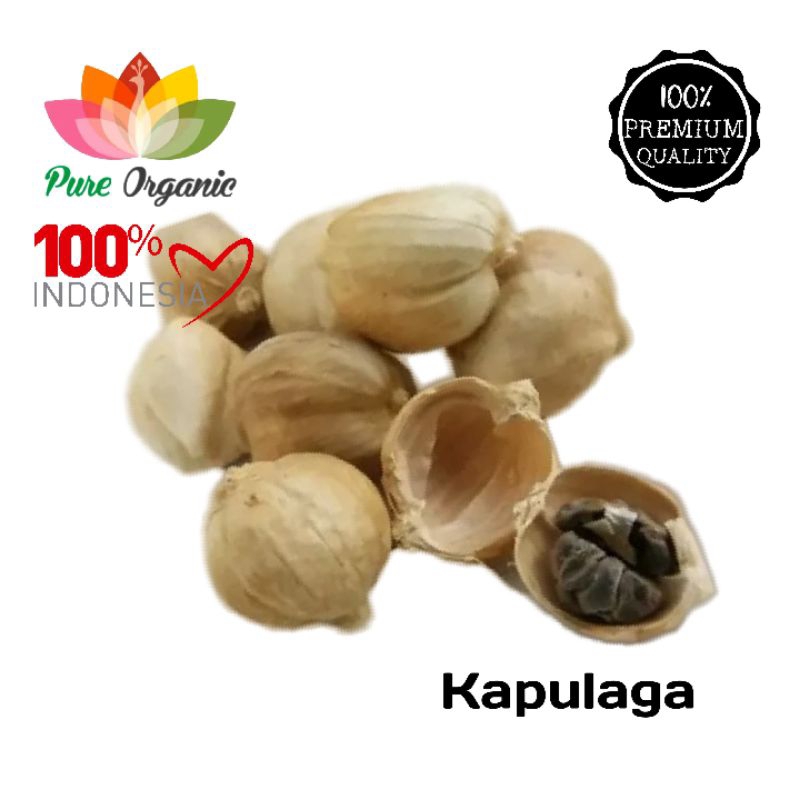 Jual Kapulaga Jawa Premium 500gr - Kapulaga Lokal | Shopee Indonesia