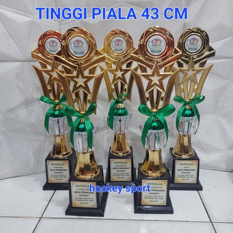 Jual Trophy Piala Custom Tulisan Murah 1 pcs Model Belimbing 214 ...
