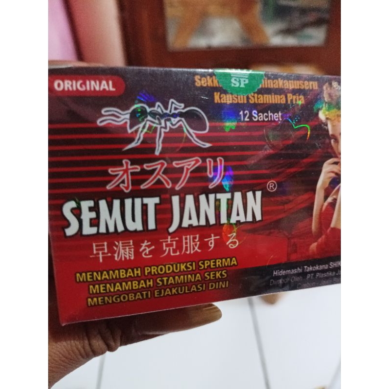 Jual semut jantan africa black ant | Shopee Indonesia
