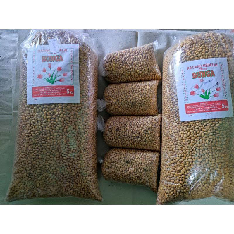 Jual 1 BAL @5KG KACANG KEDELAI PELANGI / KEDELE GORENG (GROSIR ...
