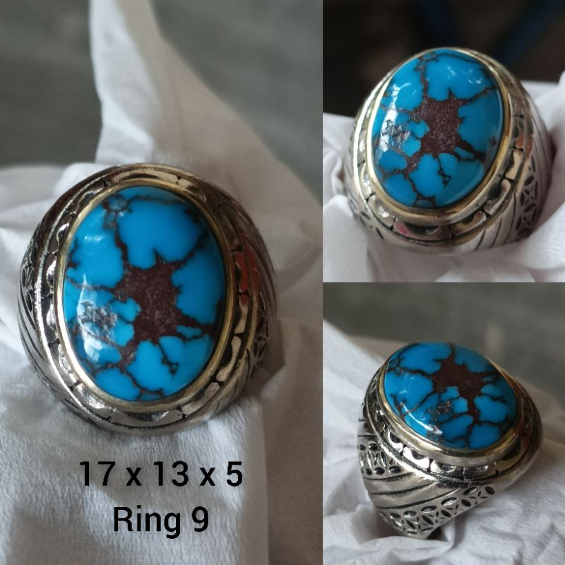 Jual Pirus mesir Egypt | Shopee Indonesia