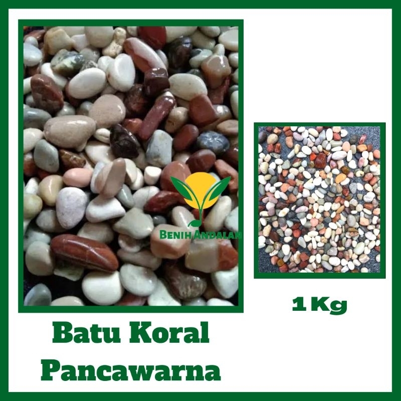 Jual Batu Koral Pancawarna 1 Kg untuk Pot Tanaman dan Dasar Aquarium | Shopee Indonesia