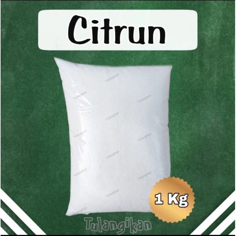 Jual Citrun Monohydrate / sitrun / pembersih / 1Kg | Shopee Indonesia