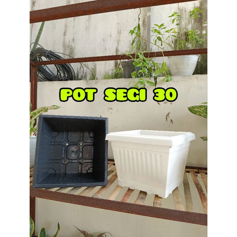 Jual Pot plastik SEGI 30 Panda Star - Pot bunga/tanaman hias kotak ...
