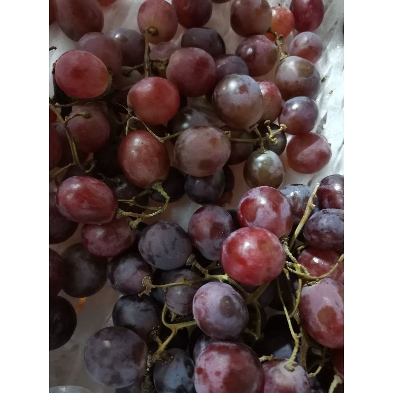 Jual ANGGUR (250g) | Shopee Indonesia