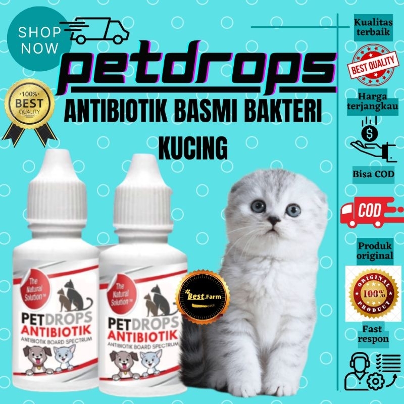 Jual Pet Drops Antibiotik Kucing Dan Kitten 20ml Anti Flu Diare Demam ...