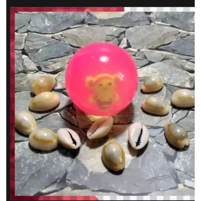 Jual 1 set bola bekel kerang ukuran besar dilengkapi 12 pcs | Shopee ...