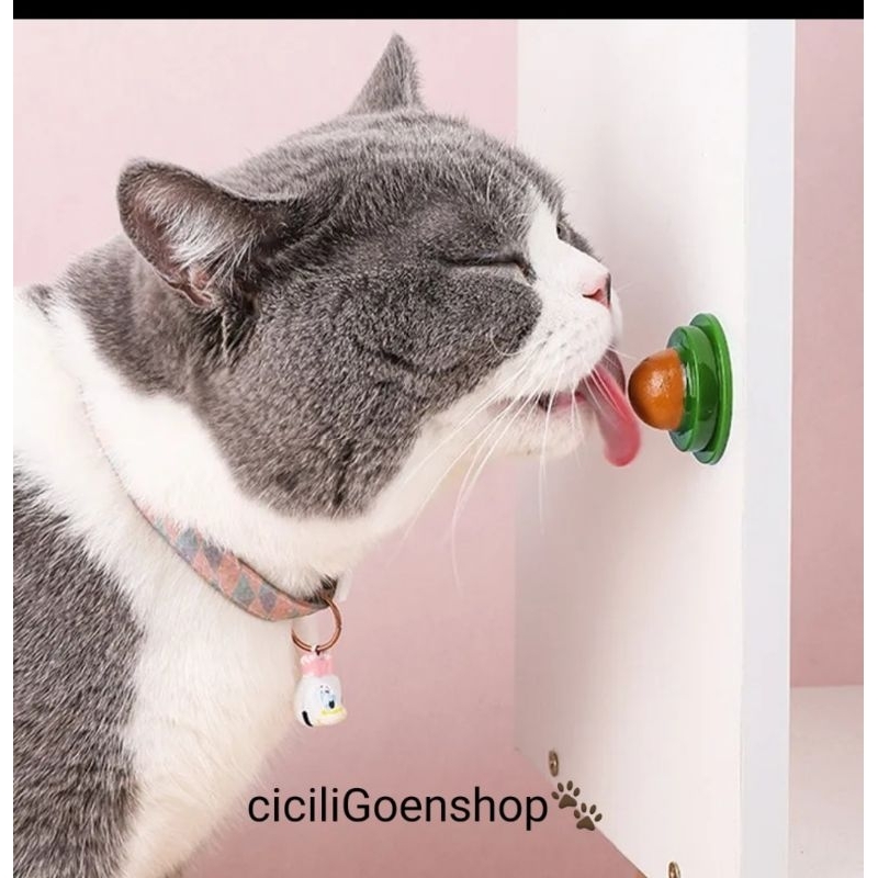 Jual CATNIP CANDY CAT cemilan kucing permen ber vitamin cat nip catmint ...