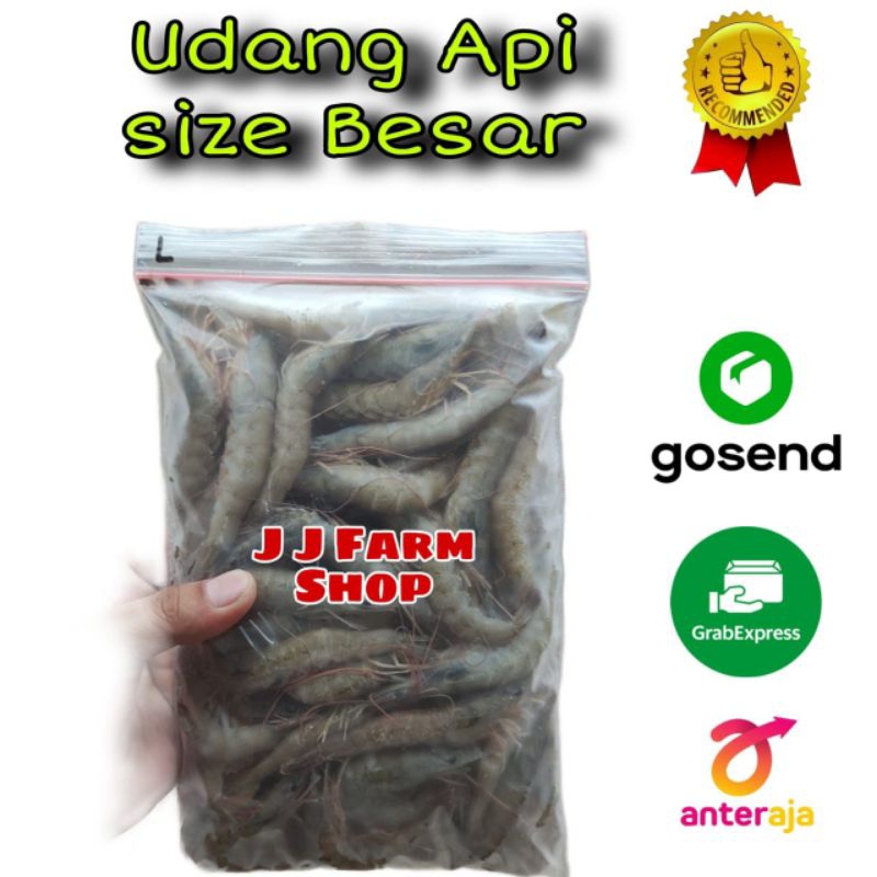 Jual UDANG BESAR / UDANG BEKU BESAR 500 GRAM food grade / makanan pakan ...