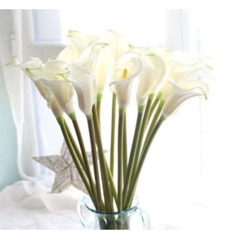 Jual Bunga calla lily putih asli segar pr ikat CMHI BDG PDLRG | Shopee ...