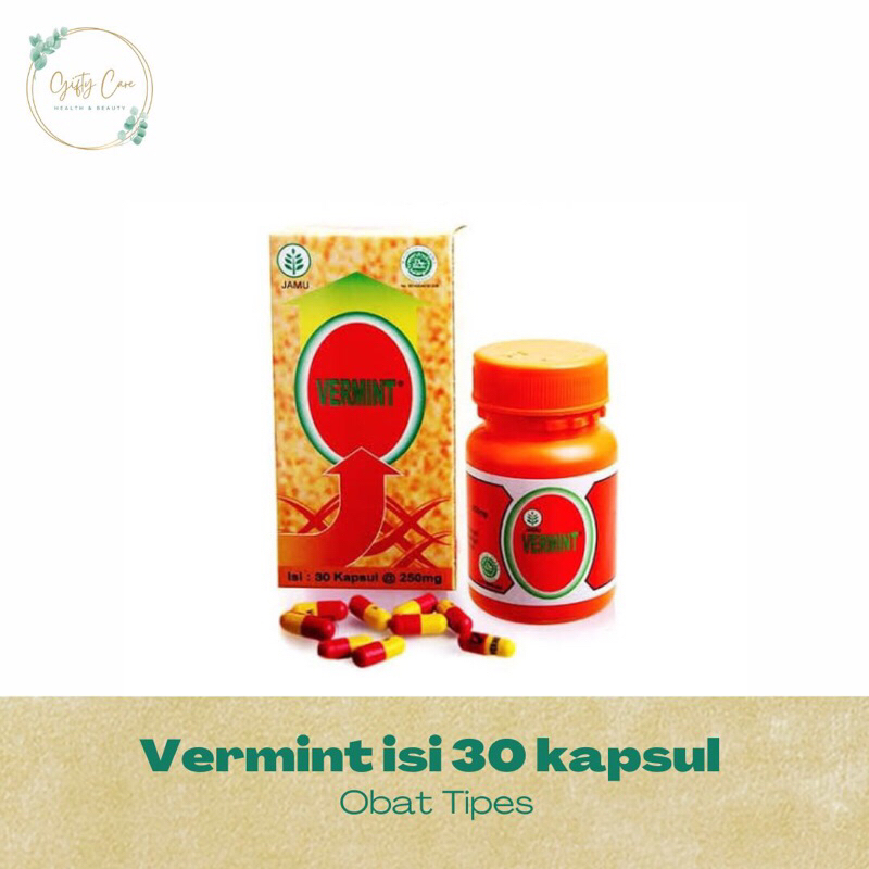 Jual Vermint isi 30 kapsul Obat Typhus / Tipus Tipes Obat Demam ...