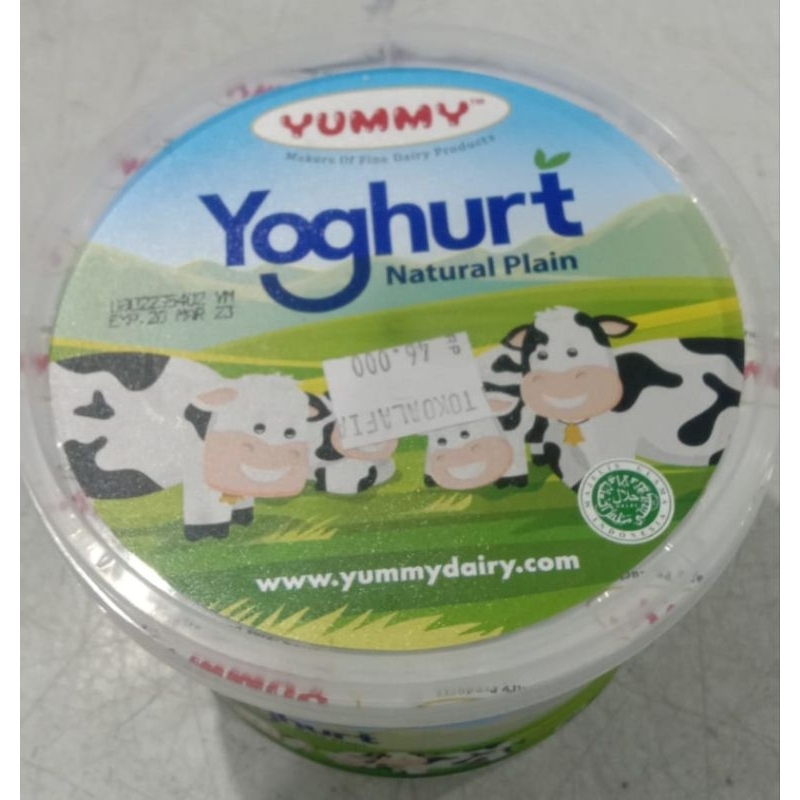 Jual Yoghurt Natural Plain Yummy 500gram / Yogurt | Shopee Indonesia