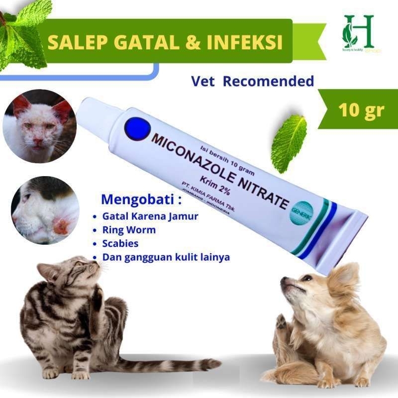 Jual Salep jamur kucing / Obat jamur kucing anjing kelinci ampuh ...