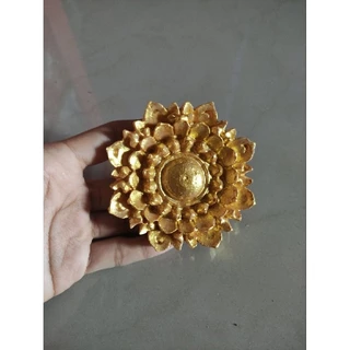 Jual Bunga Karang Terlengkap & Harga Terbaru Agustus 2024 | Shopee ...