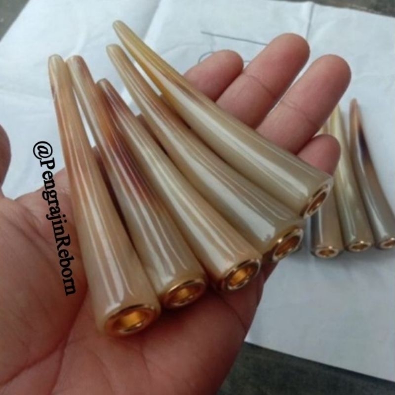 Jual ONCE TANDUK KERBAU BULE SUPER 12cm | Shopee Indonesia