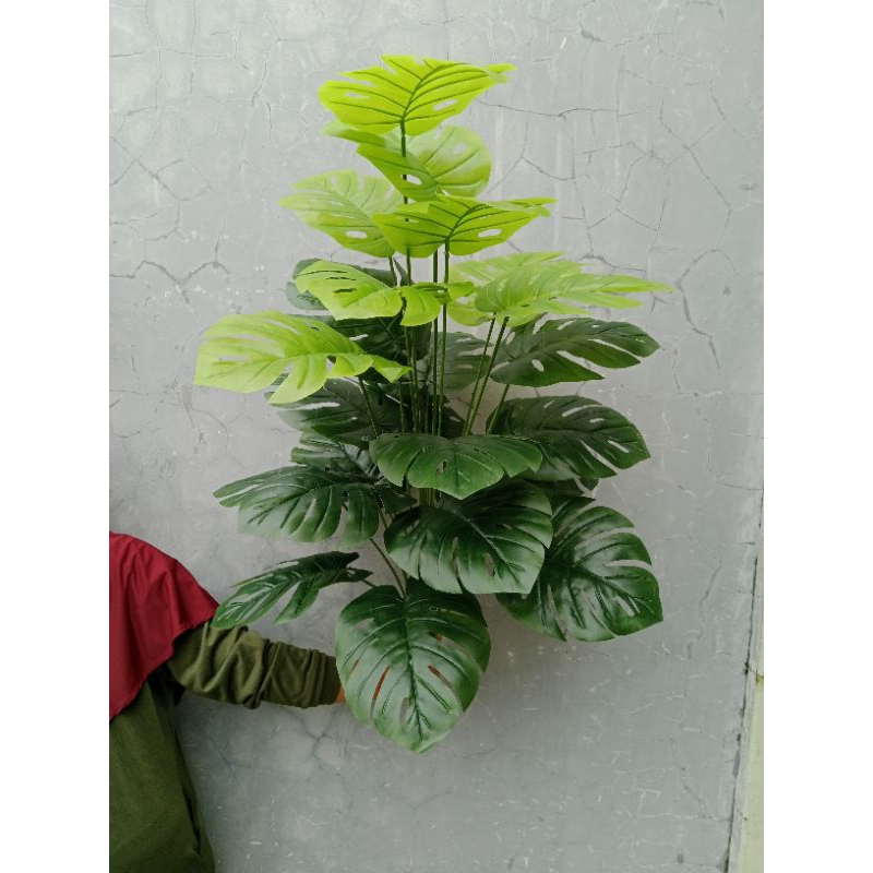 Jual TANAMAN PALSU MONSTERA HIJAU JUMBO 110CM 24DAUN ARTIFICIAL(belum ...