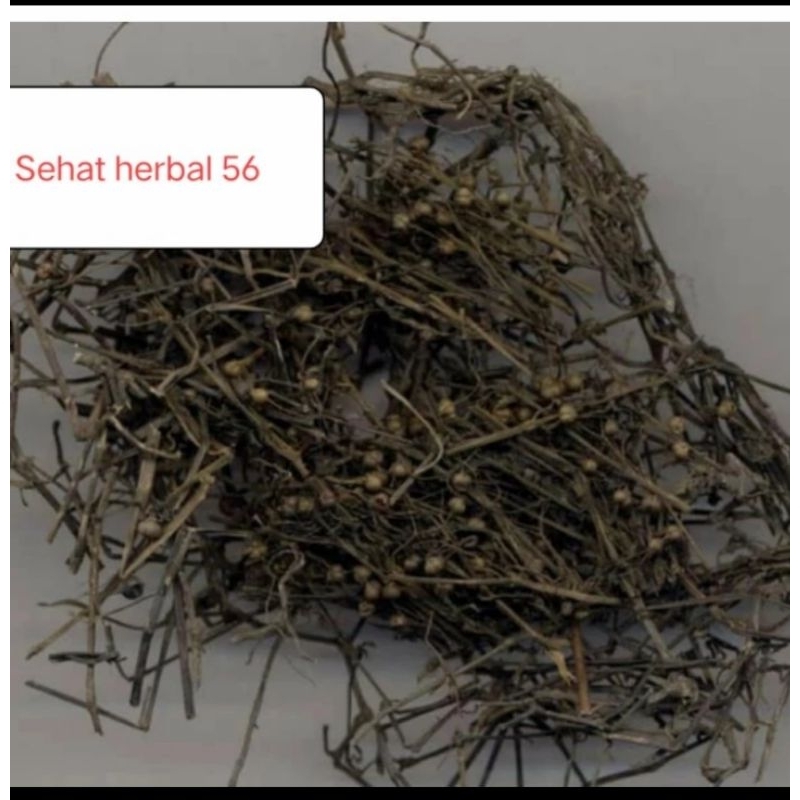 Jual 600gram lidah ular kering Bai Hua she she cao hedyotis diffusae ...