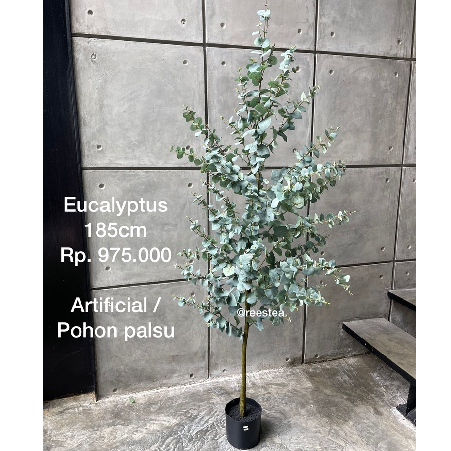 Jual Pohon Eucalyptus Tinggi 185 cm / Pohon Hias Palsu/ Artificial ...